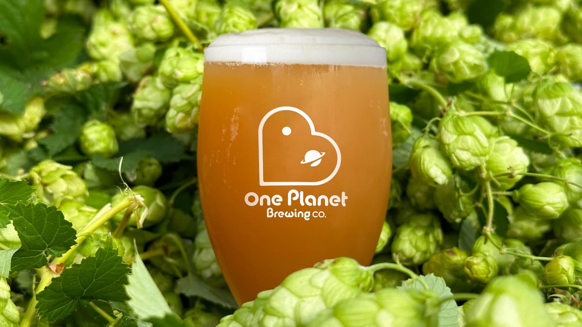 One Planet Brewing Co opens with 100 per cent solar-powered brewing | farnhamherald.com